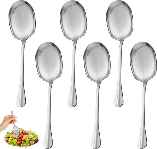 Serveerlepels roestvrij staal 25 cm - Set van 6 - Opscheplepels lange ...