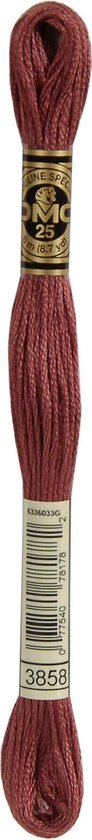 DMC Borduurgaren-3858 Bruin | bol