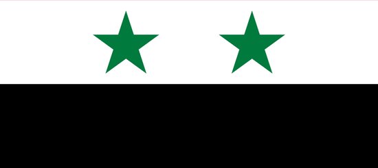 Vlag Syrië 30x45cm | bol