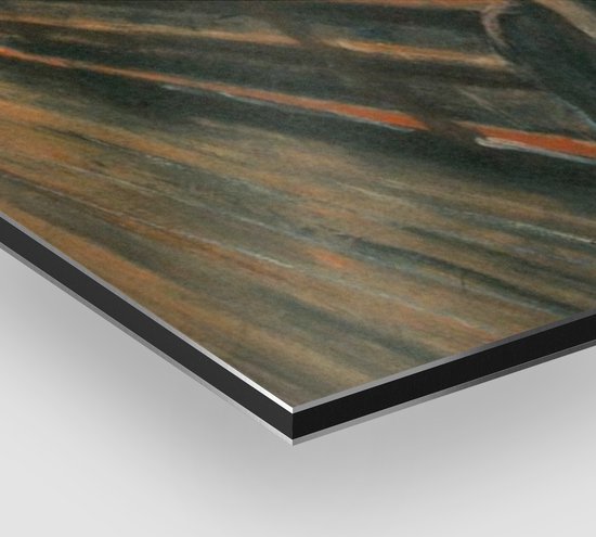 De Schreeuw, Edvard Munch - Foto op Dibond - 100 x 100 cm | bol