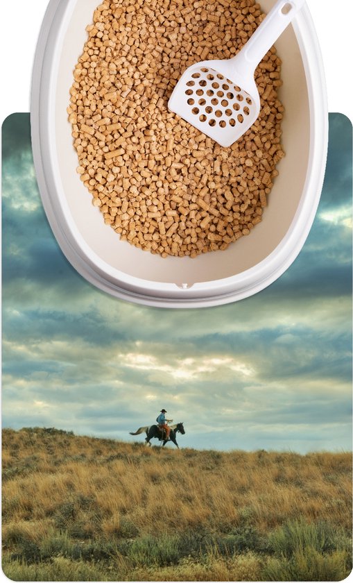 Kattenbakmat - Placemat kat - Kattenbak mat - Paard - Ruiter - Wolken ...