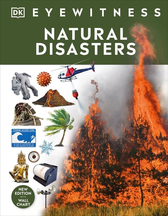 DK Eyewitness - Natural Disasters (ebook), Dk | 9780241607633 | Boeken | bol