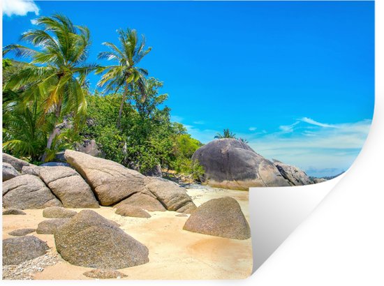 Muurstickers - Sticker Folie - Strand - Tropisch - Zee - Planten - 40x30 cm -... | bol