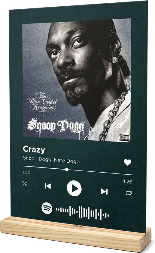 Songr Spotify Muziek Bordje - Crazy - Snoop Dogg, Nate Dogg - 20x30 - Groen - Dibond... | bol