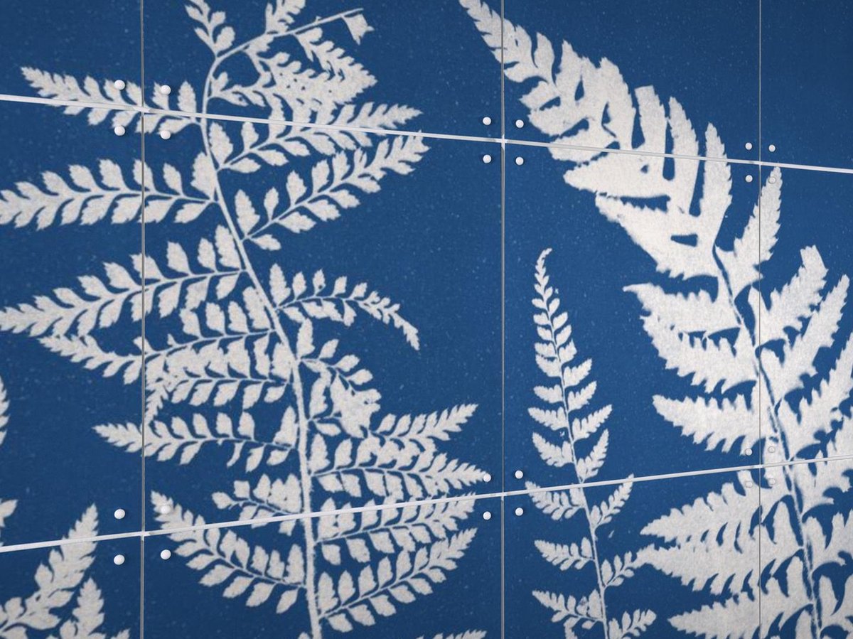 IXXI Specimen of Cyanotype - Ferns - Wanddecoratie - Bloemen en Planten ...