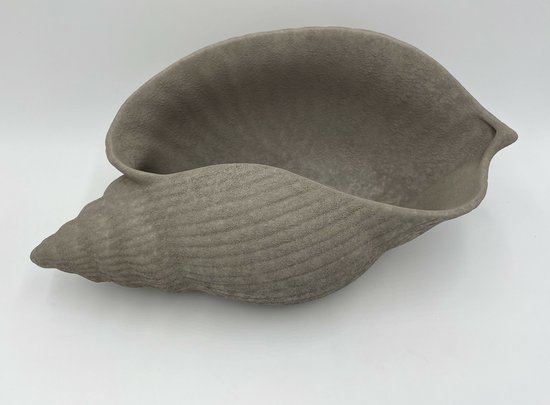 Decoratiebeeld schelp groot grijs 45 x 22 x 15 cm | 734090 | Stoer ...