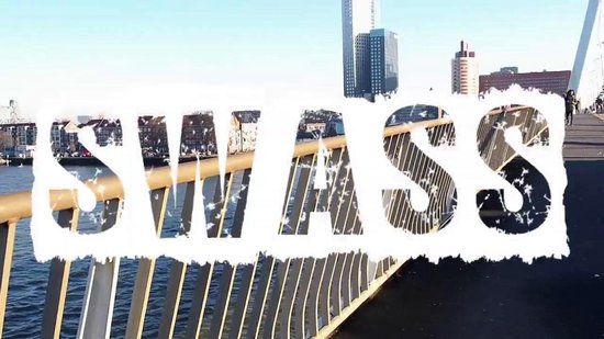 SWASS Vinyl Cruiser Skateboard Retro - Zwart/Blauw | bol