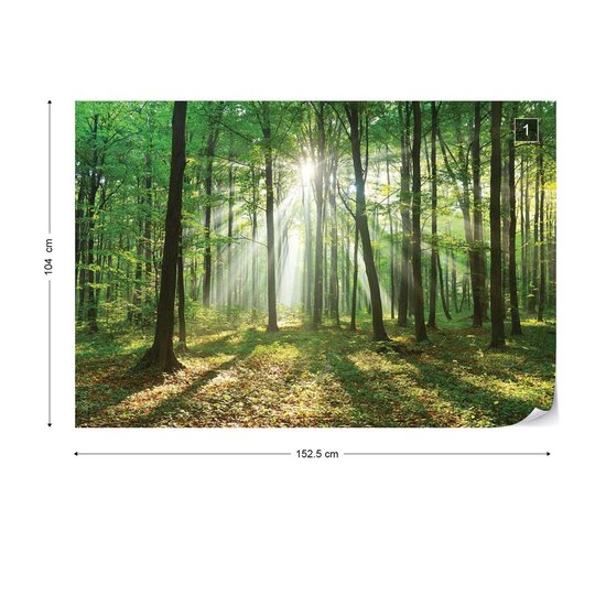 Fotobehang - Vlies Behang - Bos met de opkomende Zon - 152,5 x 104 cm | bol