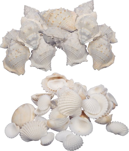 Othmar Decorations Decoratie/hobby schelpen mix - 2x 500 gr - naturel ...