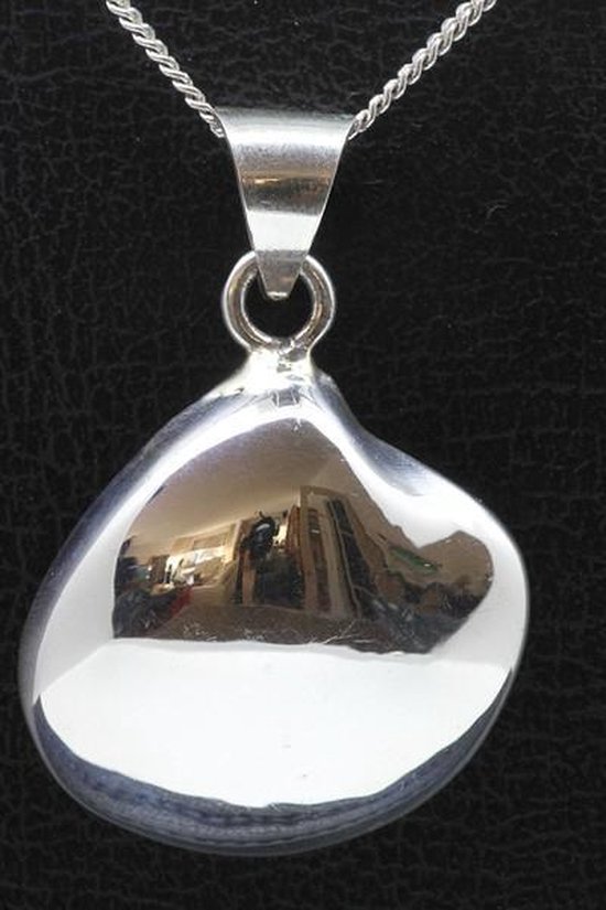 Zilveren Venus schelp abstract ketting hanger | bol.com