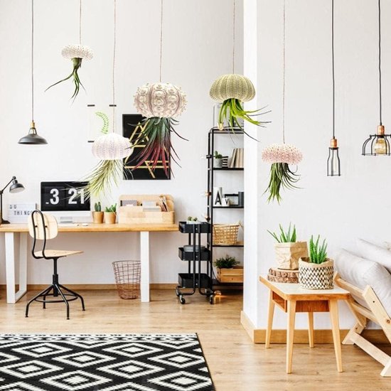 Mini zee-egel schelp lucht plantenhouders - Decoratieve hangende lucht ...