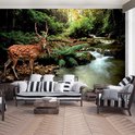 Fotobehang - Vlies Behang - Hert in het Bos - 208 x 146 cm | bol
