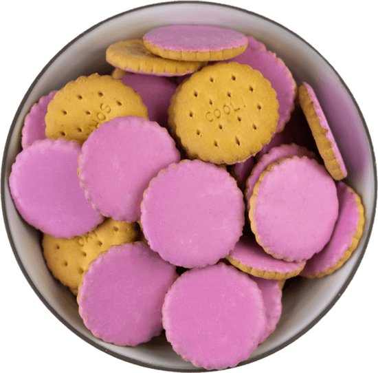 Van Delft Chocolates & Bakery Glacé Biscuits Bubblegum likkoekjes ...