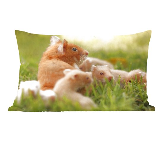 Sierkussens - Kussentjes Woonkamer - 60x40 cm - Rode hamster zit in het ...