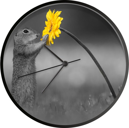 Klok - Ø 30 cm - Eekhoorn bewondert een gele bloem zwart/wit van ...
