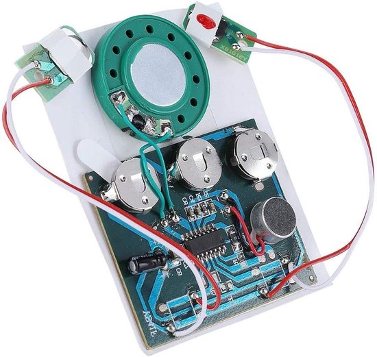 Recordable Music Sound Voice Module Chip met 0.5W Speaker en ...