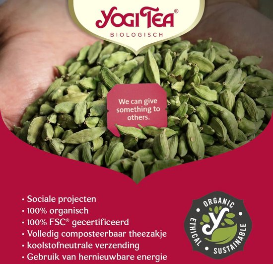 Yogi Tea Morning Energy Bio - 3 pakjes | bol