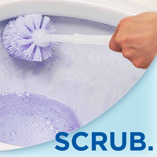 2 x WC Eend - Action Gel Lavender Bloom - Toiletreiniger - Fris ...