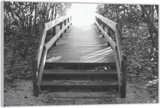 Acrylglas –Zwart - Wit Trappetje -60x40 (Met ophang) | bol