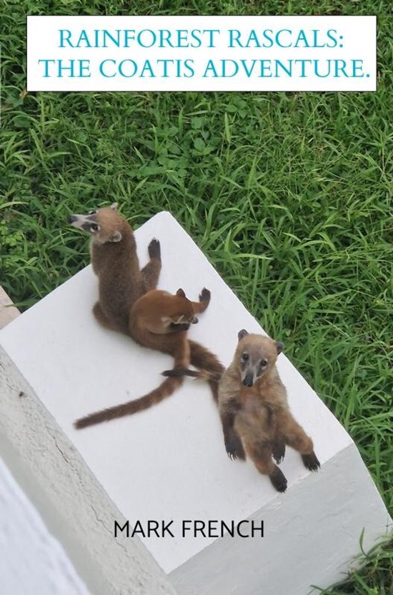 Rainforest Rascals: The Coatis Adventure. (ebook), Mark French ...