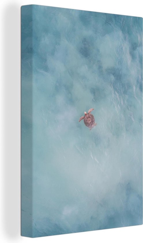 Canvas Schilderij Schildpad in de oceaan vanuit vogelperspectief - 60x90 cm -... | bol