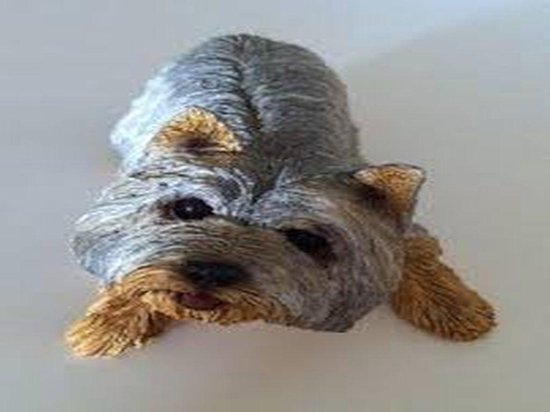 Sandicast - Yorkshire Terrier - M456 - | bol.com