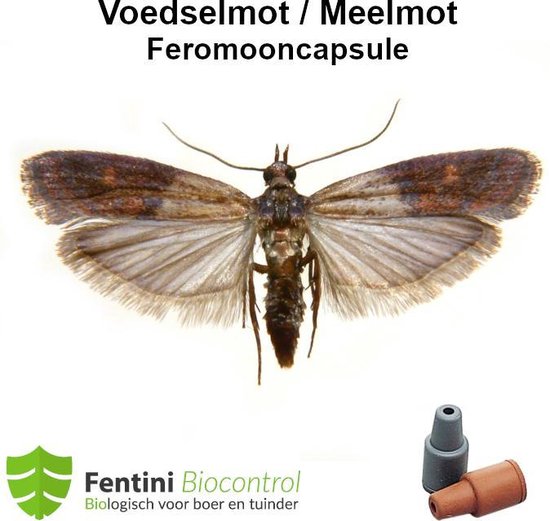 Navulverpakking voor Voedselmottenval / Levensmiddelenmottenval ...