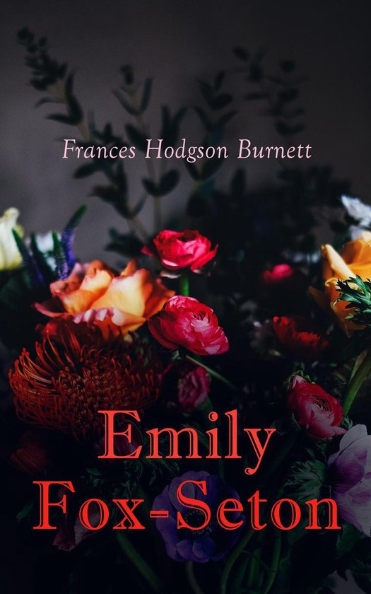 Emily Fox-Seton (ebook), Frances Hodgson Burnett | 9788026899075 ...