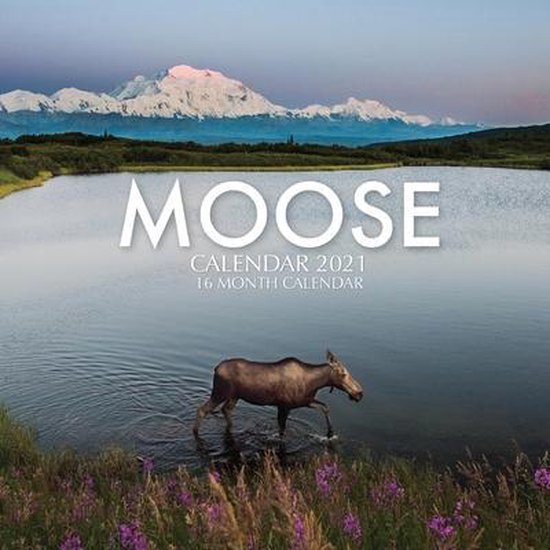 Moose Calendar 2021, Golden Print | 9798563988484 | Boeken | bol.com