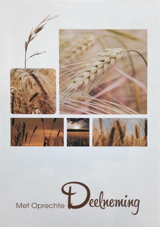 Condoleance Kaarten - Met oprechte Deelneming - 12 x 17 cm - Sterkte ...