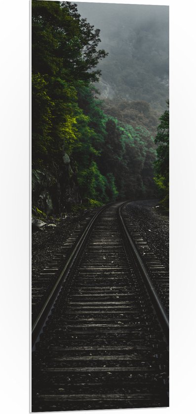 WallClassics - PVC Schuimplaat- Treinspoor tussen Groene Bossen ...