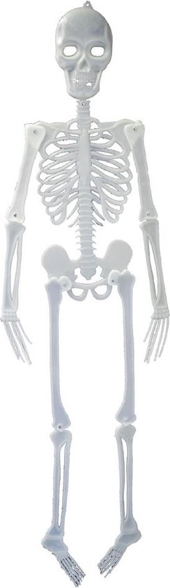 Skelet 150 cm - glow in the dark skelet - Halloween decoratiion Decskeleton | bol