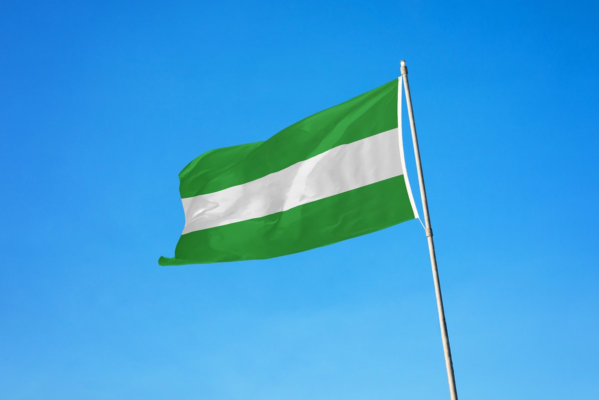 Vlag Rotterdam| Rotterdam | 200x 100 cm | bol.com