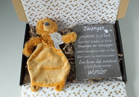 Brievenbus cadeau Bear Bradley- cadeau zwangerschap - kraam cadeau ...