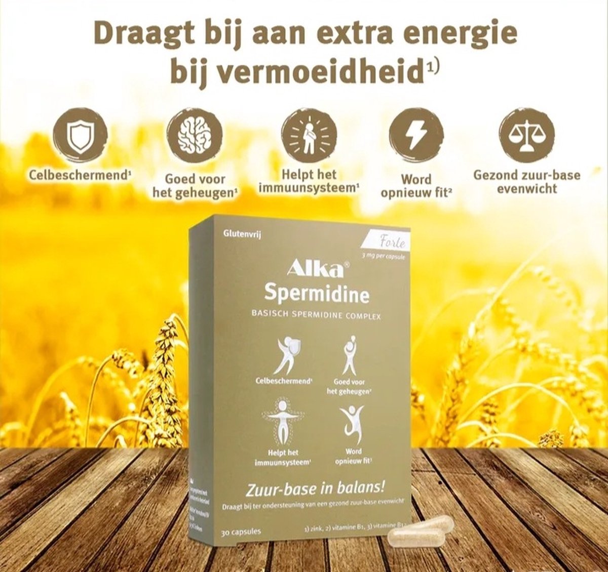 ALKA® Spermidine Forte - 30 capsules | bol.com