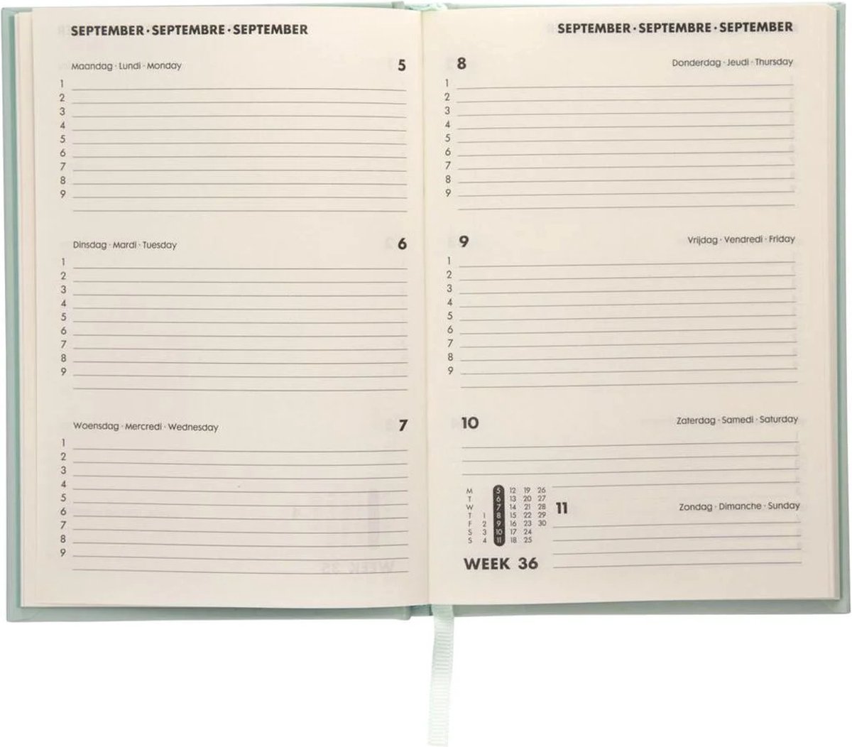 School/Werk agenda mintgroen 2022-2023 | bol.com