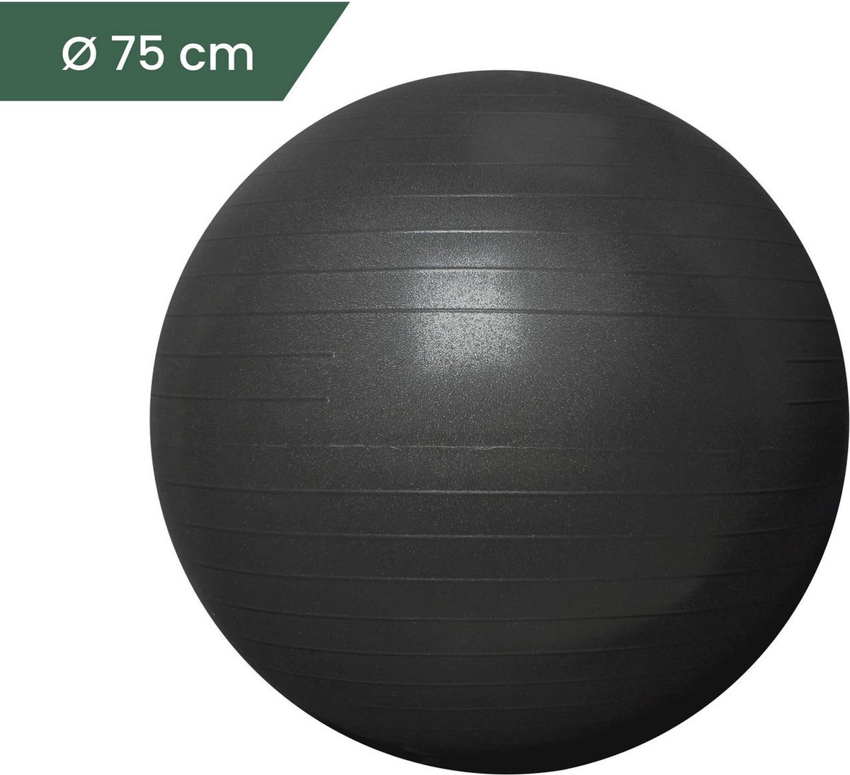 Gymbal 75 cm - Fitness Bal - Yoga bal - Incl pomp - Zwart | bol.com