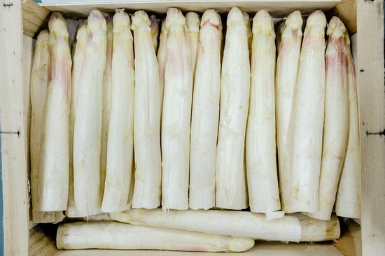 Asperge Poeder Wit - 1 Kg - Holyflavours - Biologisch gecertificeerd | bol