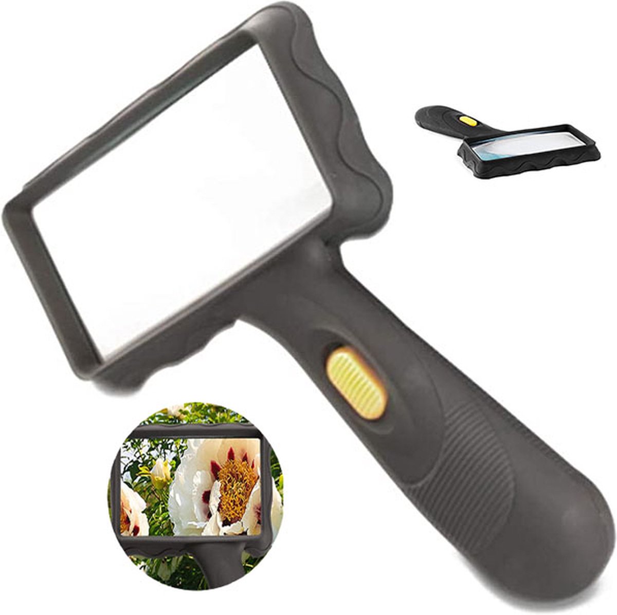 vergrootglas met verlichting - 250% vergroting + Bijbehorende ...