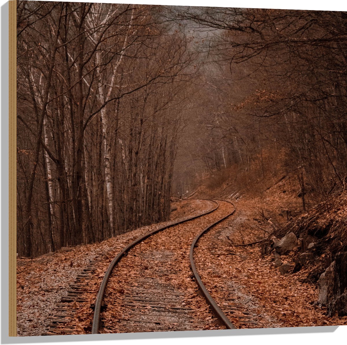 WallClassics - Hout - Treinrails tussen Bossen - 80x80 cm - 12 mm dik ...