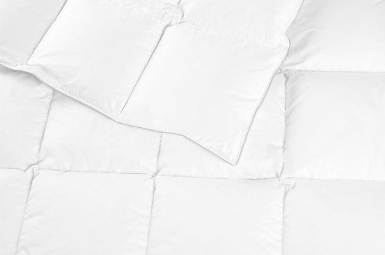 Donzen Dekbed 220x240cm – 3 kg Dons Vulling - 2 Persoons Ganzendons ...