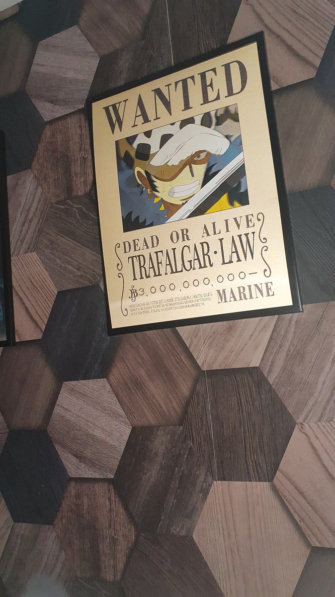 One Piece Wanted Poster + Cadre 3D - Monkey D Luffy | Loi de Trafalgar ...