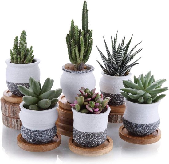 T4U 6CM Vetplant Bloempot Mini Set van 6, Korea Stijl Keramiek ...