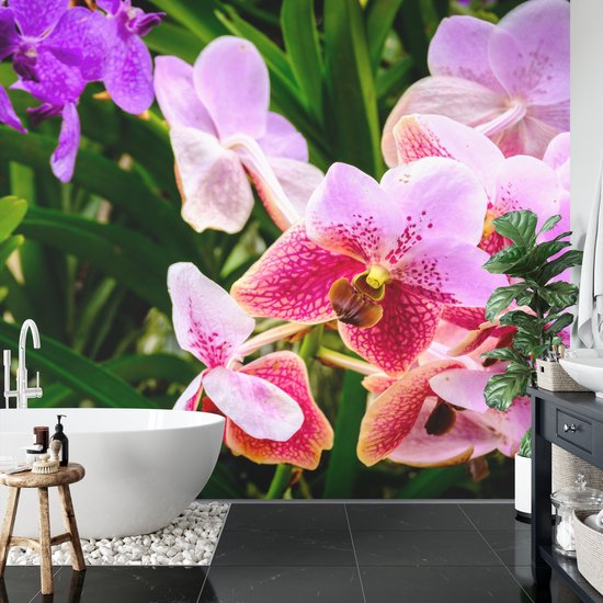 Fotobehang Kleurrijke Orchideeën 3D | bol
