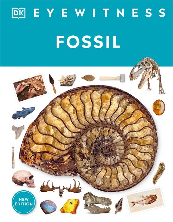 DK Eyewitness- Eyewitness Fossil | 9780744092073 | Boeken | bol.com