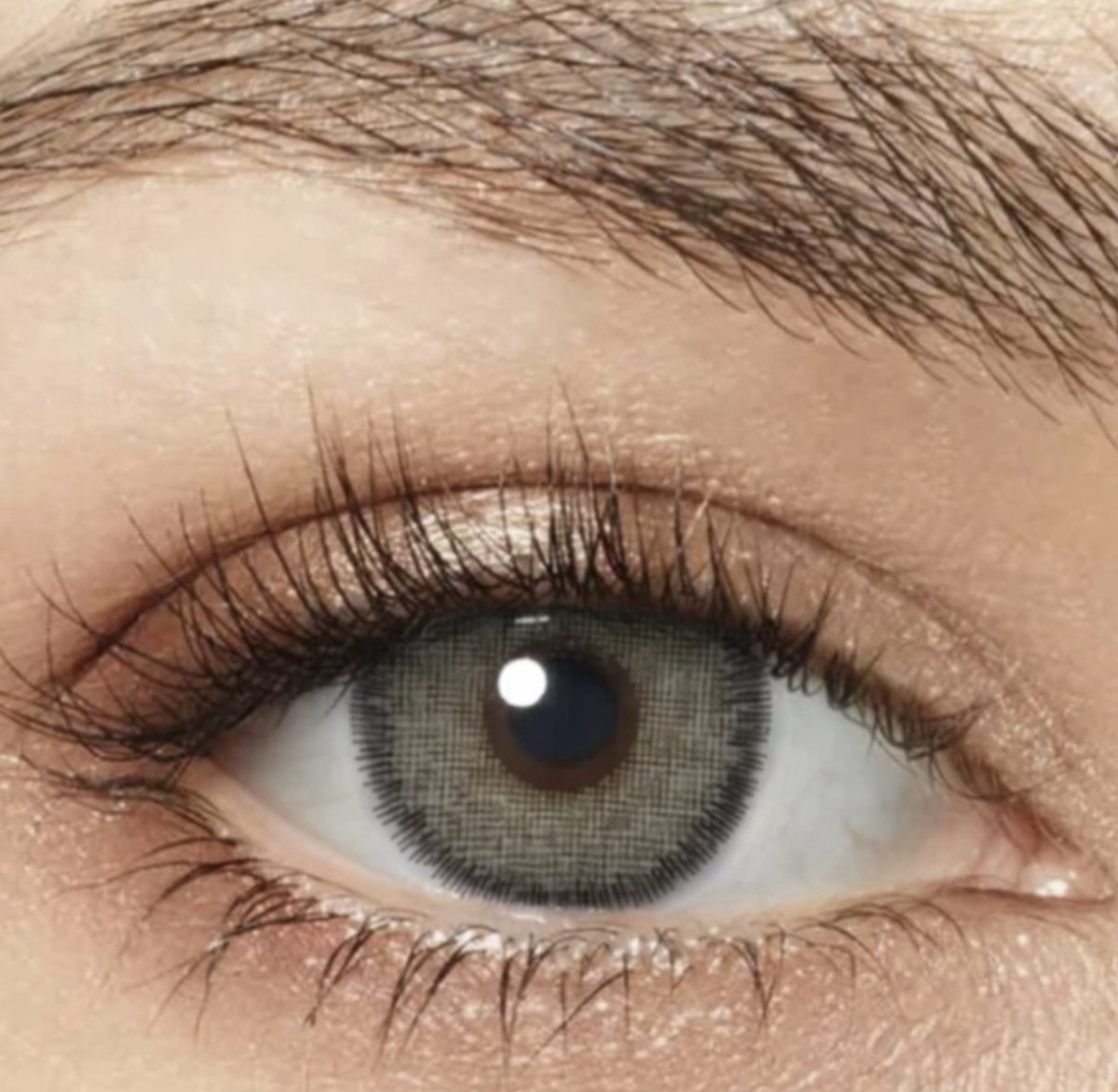 Gris doré -2,00 | Lentilles annuelles | Avec et sans force | bol.com