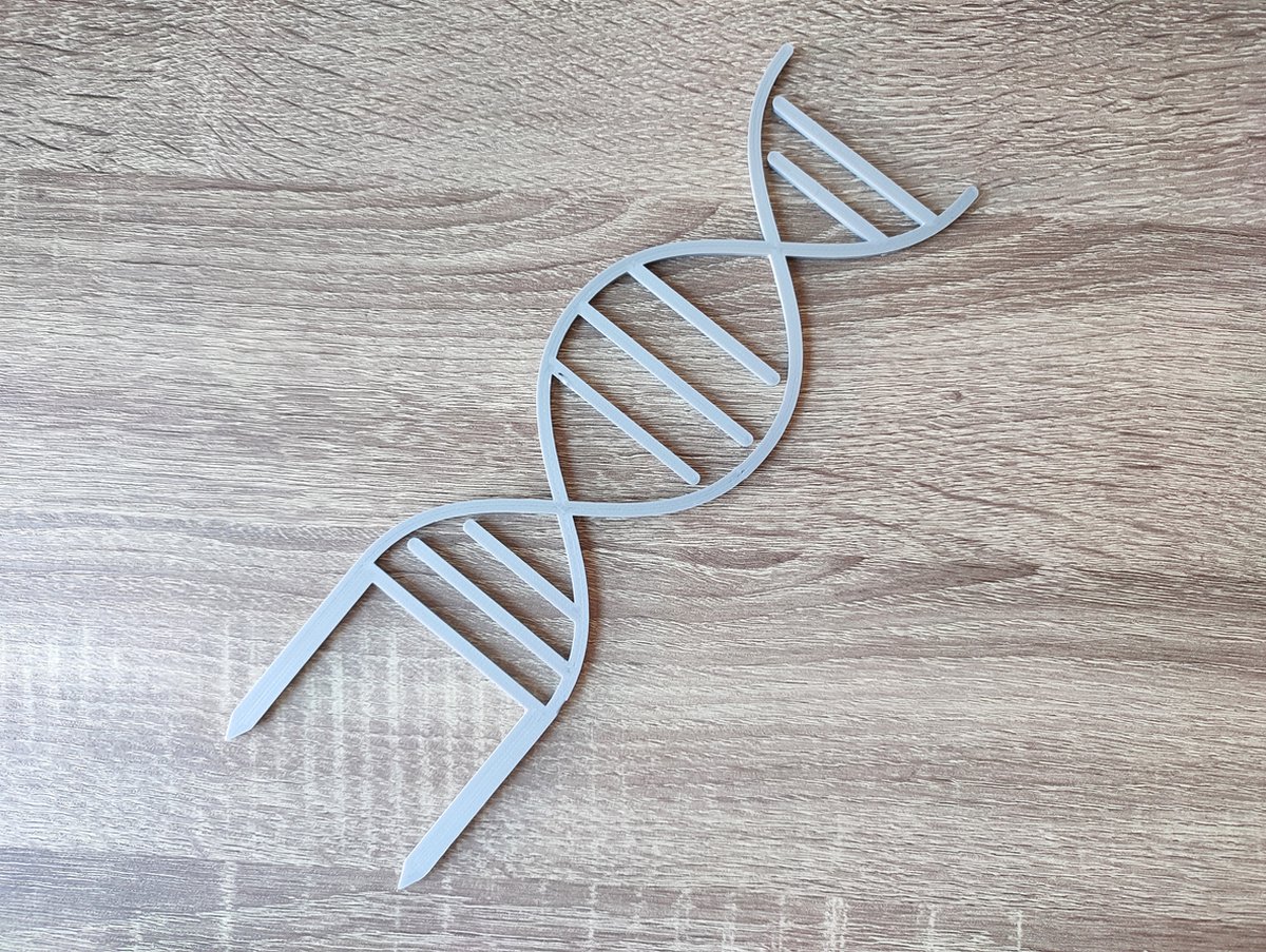DNA L Grijs 3D geprint plantensteun trellis | bol.com