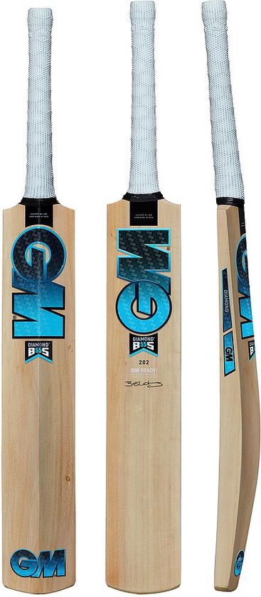 GM Diamond 202 Kashmir Willow Cricket Bat | bol