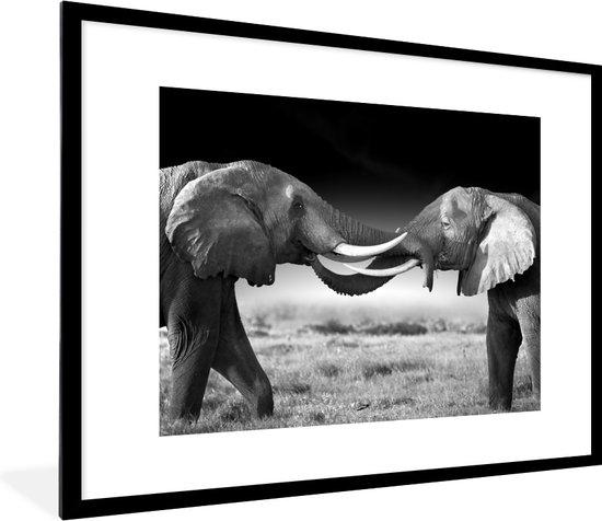 Fotolijst incl. Poster Zwart Wit- Olifant - Dieren - Zwart wit ...