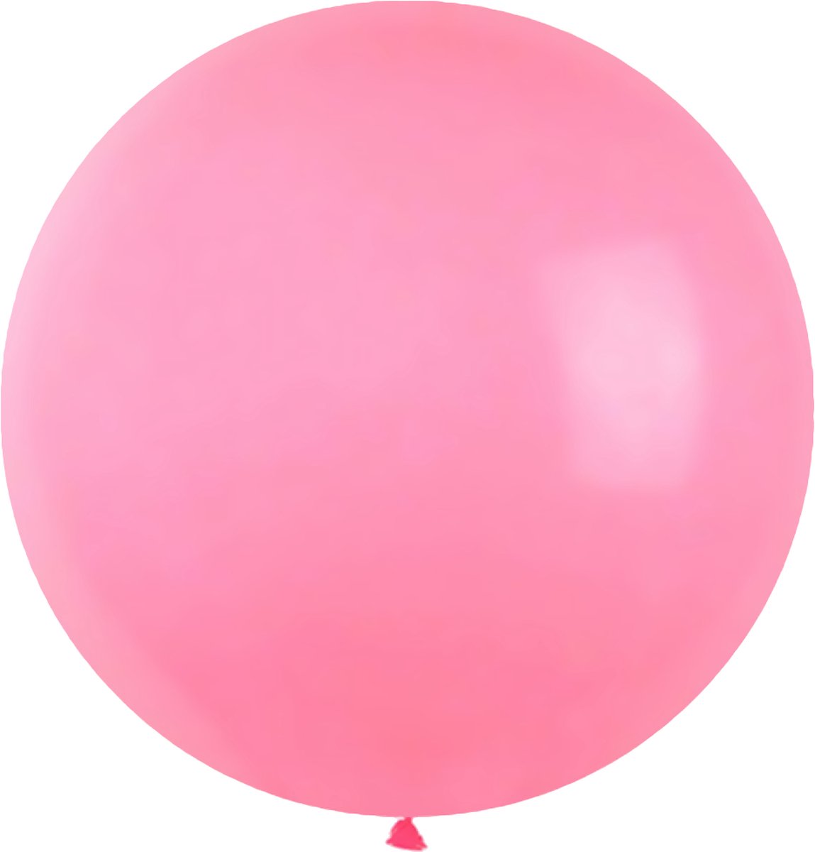 Roze Ballonnen (10 stuks / 90 CM) | bol